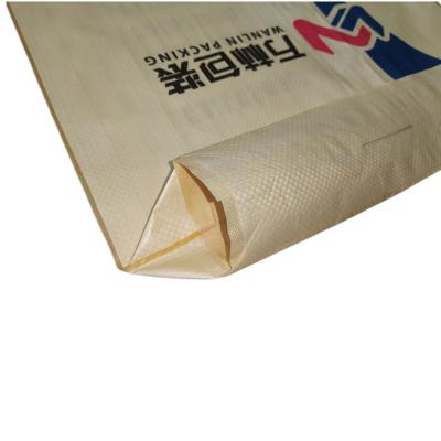 China Best Selling 50Kg PP Valve Bag Small Cement Bottom Block Heavy Duty Sack for sale