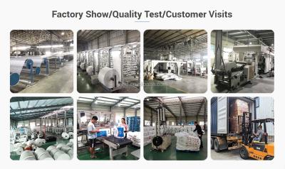 China Melhor Preço Saco de 50 kg PP Valve Sack Fabricante Saco de Cimento Vazio Geral de 20 kg à venda