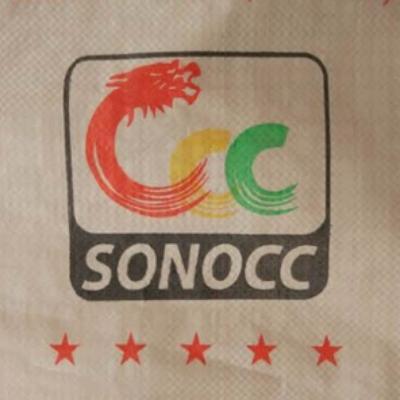 China 25 KG 40 KG 50 KG Bolso de tejido de PP Bolso de cemento de PP vacío Bloque de fondo con válvula en venta