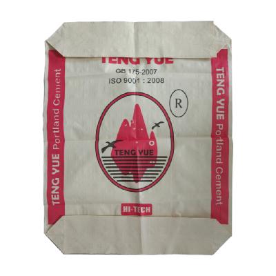 China Sacos Ad Star de 25KG 40KG 50KG, Sacos PP com Válvula, Sacos de Cimento, Saco de Cimento para Encomenda Personalizada e Selagem com Alça, Selagem Térmica à venda
