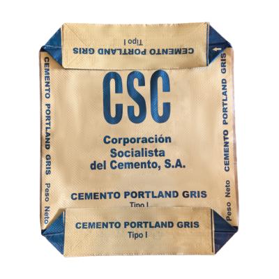 China Moisture Proof PP Woven Valve Bag for Heavy Duty 50kg Cement Packaging for sale