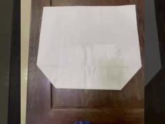 4-Ply Reinforced Anti-Puncture Durian Packaging Paper Bags