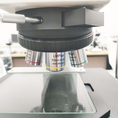 Cina Digital Optical Microscope High Quality Multifunctional  Laboratory in vendita