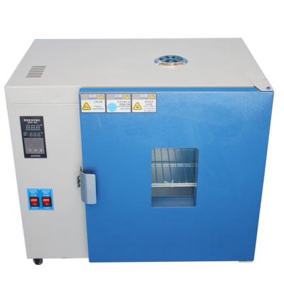 Cina High Heated Laboratory Industrial Lab Vacuum Drying Equipment Test Oven in vendita