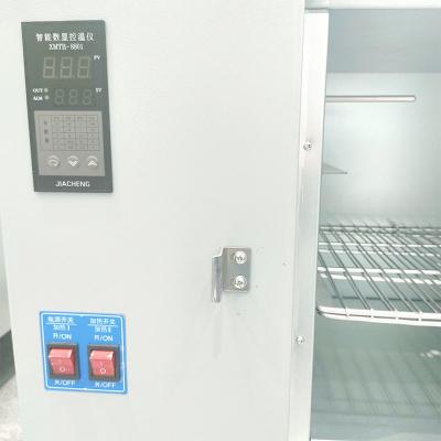 Cina High Heated Laboratory Industrial Lab Vacuum Drying Equipment Test Oven in vendita