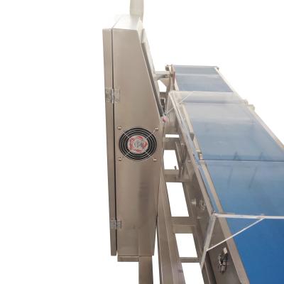 Cina Pesatore economico del controllo del nastro trasportatore per il pesatore online del controllo del tubo della macchina dell'imballaggio alimentare in vendita