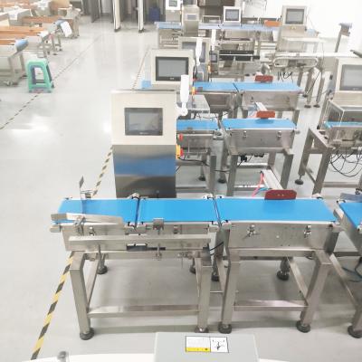 Cina Pesatore economico del controllo del nastro trasportatore per il pesatore online del controllo del tubo della macchina dell'imballaggio alimentare in vendita