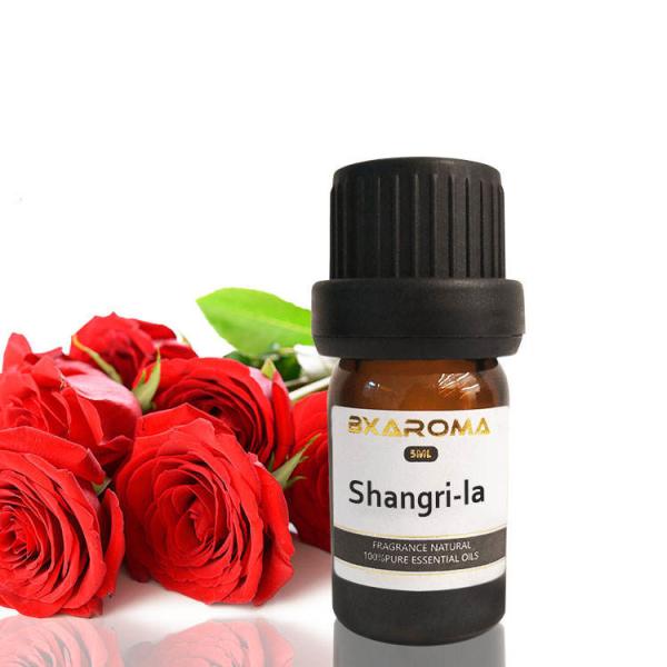 Liquido dell'olio essenziale del diffusore dell'aroma di aromaterapia dell'hotel sostenibile