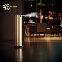 China Waterless Floor Standing Scent Large Capacity Diffuser for sale