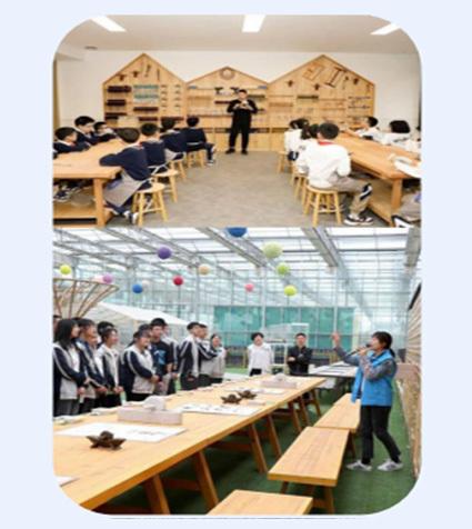 Sports game machine in educational institution