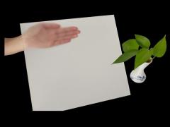 Matte Acrylic Sheet