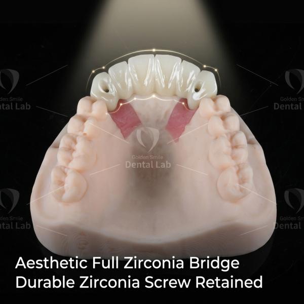 Quality Custom Made Dental Lab Products Professional Full Zirconia Screw Retained Bridge for sale
