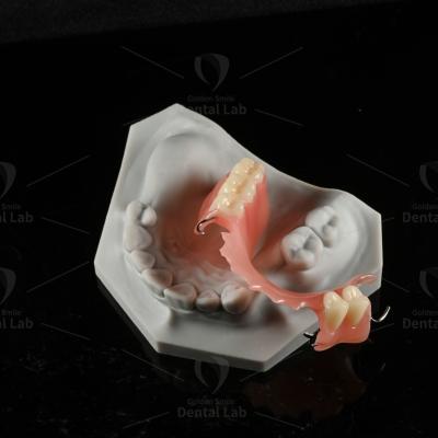 China China Dental Lab Silicone Removable Partial Denture with Y-Clasp & Wire Clasp for sale