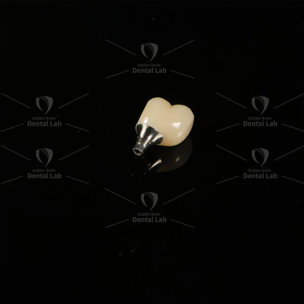 Quality China Dental Lab One-Piece Integrated Implant Crown for sale