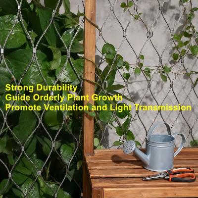 China Climbing Plant Support Green Wall Trellis System Netting With 12kN Load Capacity For Ivy Roses & Vines for sale