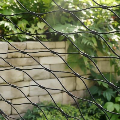 China Steel Plant Support Green Wall Trellis System 3kN-12kN Load Capacity And 50mmx80mm Aperture For Vertical Growth for sale