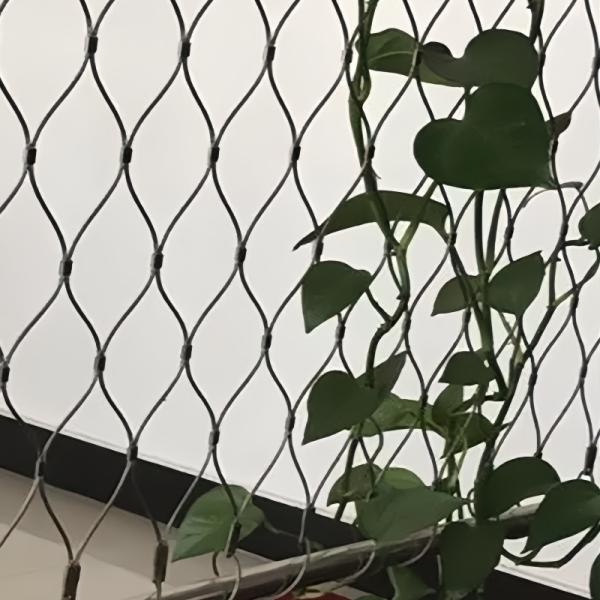 Quality Stainless Steel Vertical Planting Mesh Green Wall Wire Trellis With 100mm Wall Distance for sale