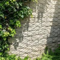 China All Weather Green Wall Trellis System High Load Capacity For Versatile for sale
