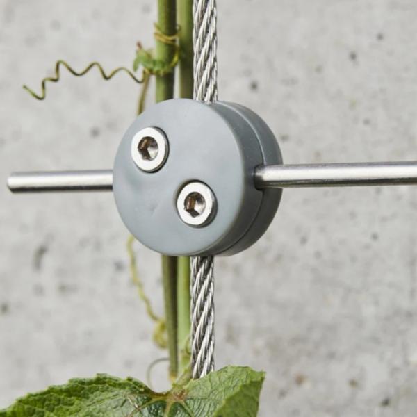 Quality 316 Modular Green Wall Wire Trellis System For Vertical Gardens 4inch Wide 80inch High for sale