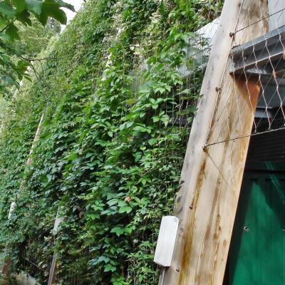 China Flexible Weatherproof Wall Wire Trellis System With AISI316 Material And 50x80mm Aperture for sale