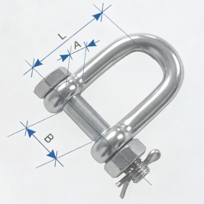 China Heavy Duty Stainless Steel D Shackle Bolt Type with Nut & Cotter Pin Polished for Towing Webnet for sale