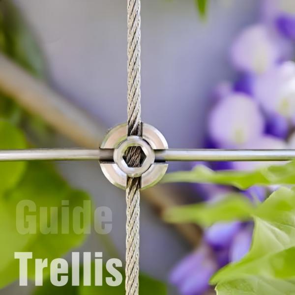 Quality RTS Waterproof Green Wall Cable Trellis System For Stainless Steel Facade Trellis & Vertical Greening for sale