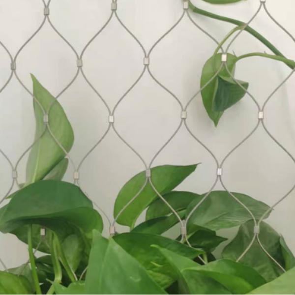 Quality 304/316 Stainless Steel Wire Rope Net Garden Vine Climbing Diamond Rope Net for sale