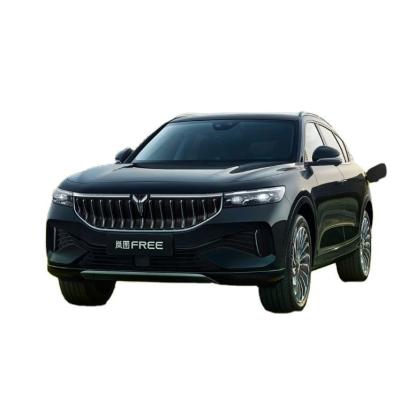 China 100kW Voyah Dreamer MPV Pure Electric Suv 3m Nieuwe energievoertuigen 2023 for sale