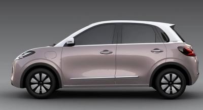 Cina BYD Seagull 2023 Mini EV Cars BYD Electric Van Trazione anteriore 55kW in vendita