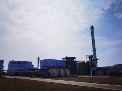 High Capacity Rotary Kiln Incinerator 200t/D With European Standard And ISO Certification