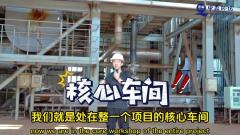 Disposal Sludge Incineration Plant Combustion Treatment  Pumping Feeding Type