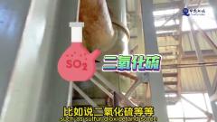 Sludge Incineration Plant Treatment and Disposal / Sludge Combustion 380V/220V