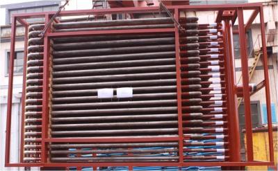 Cina Isolamento termico eccellente di convezione del radiatore della caldaia della centrale elettrica da 100 tonnellate in vendita
