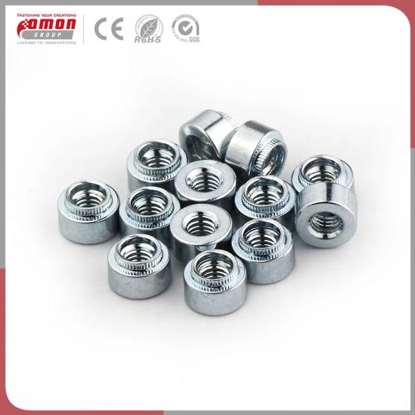 Quality Customized Rivet Bolt Furniture Hardware Round Nut for sale