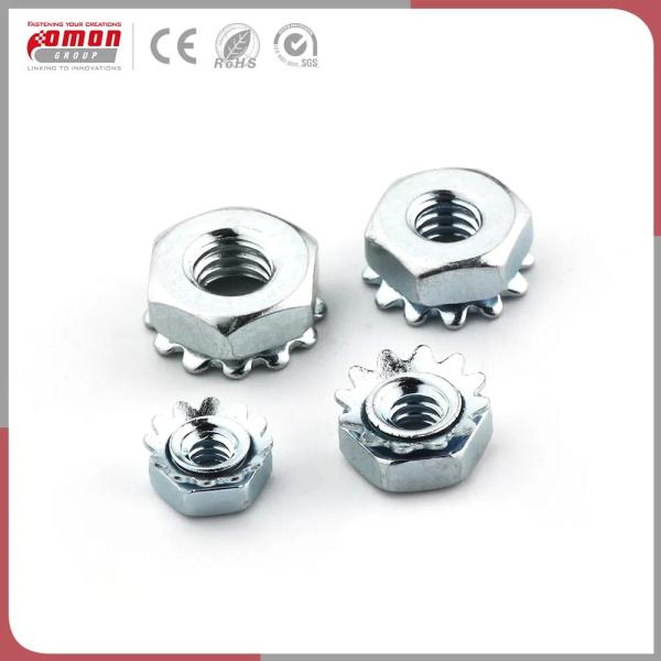 Quality Customized Design Bolt Insert Stainless Steel Rivet Nut for Building for sale