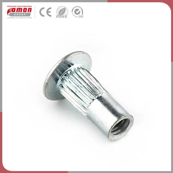 Quality Customized Round Screws Insert Clip Stainless Steel Heavy Hex Nuts for sale