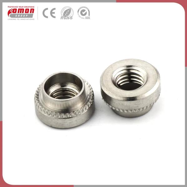 Quality Customized Round Screws Insert Clip Stainless Steel Heavy Hex Nuts for sale