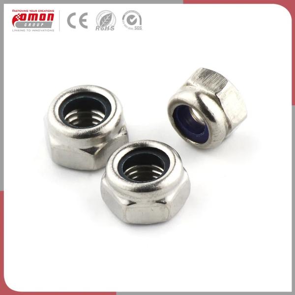 Quality Customized Round Screws Insert Clip Stainless Steel Heavy Hex Nuts for sale