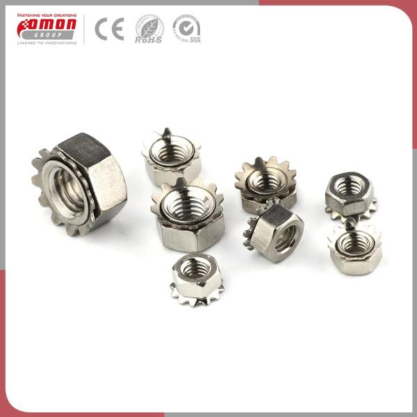 Quality Custom Bolt Brass Stainless Steel Hex Rivet Nut for Building for sale