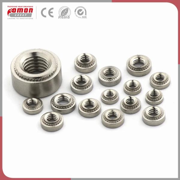 Quality Custom Bolt Brass Stainless Steel Hex Rivet Nut for Building for sale