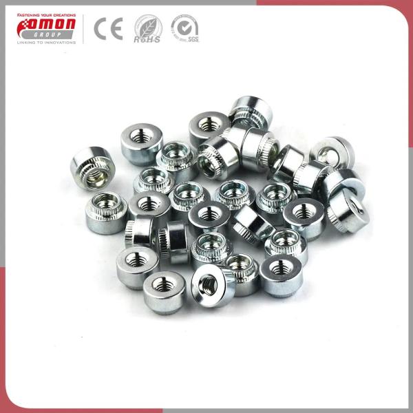 Quality Custom Bolt Brass Stainless Steel Hex Rivet Nut for Building for sale