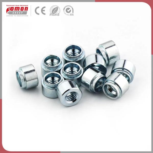 Quality Custom Bolt Brass Stainless Steel Hex Rivet Nut for Building for sale