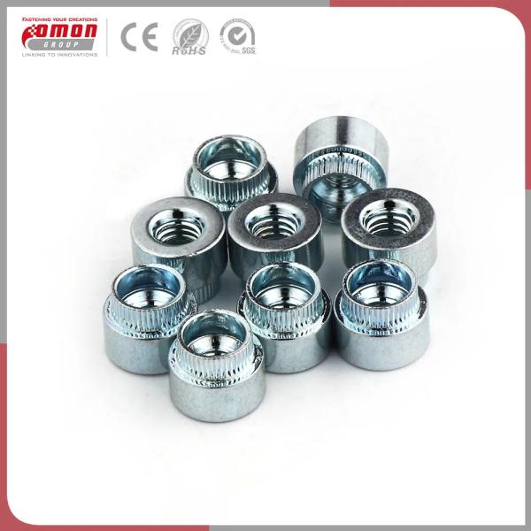 Quality Custom Bolt Brass Stainless Steel Hex Rivet Nut for Building for sale