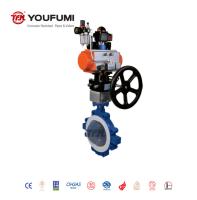 China GB standard PTFE Lined Butterfly Valve for sale