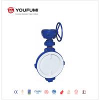 China GB standard PTFE Lined Butterfly Valve for sale