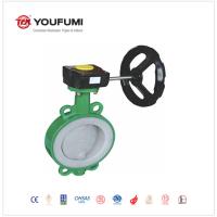 China DIN Standard PTFE Lined Butterfly Valve for sale