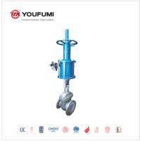 China CF8M PTFE Lined Gate Valve for sale