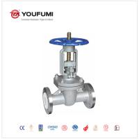 China CF8M PTFE Lined Gate Valve for sale