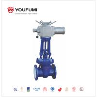 China CF8M PTFE Lined Gate Valve for sale