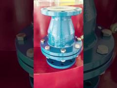 Anticorrosion PTFE PFA выровнял двойной тип вафли задерживающего клапана плиты